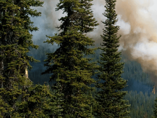 The Wildland Urban Interface (WUI) – FireSmart Canada